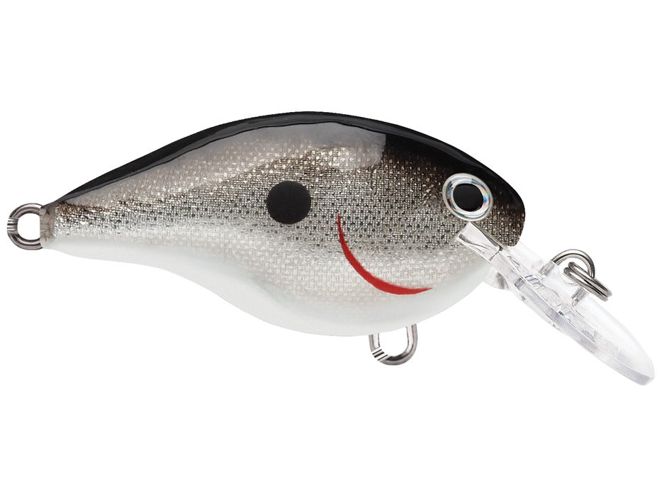 Rapala DT4 Series Crankbaits - Tackle Warehouse