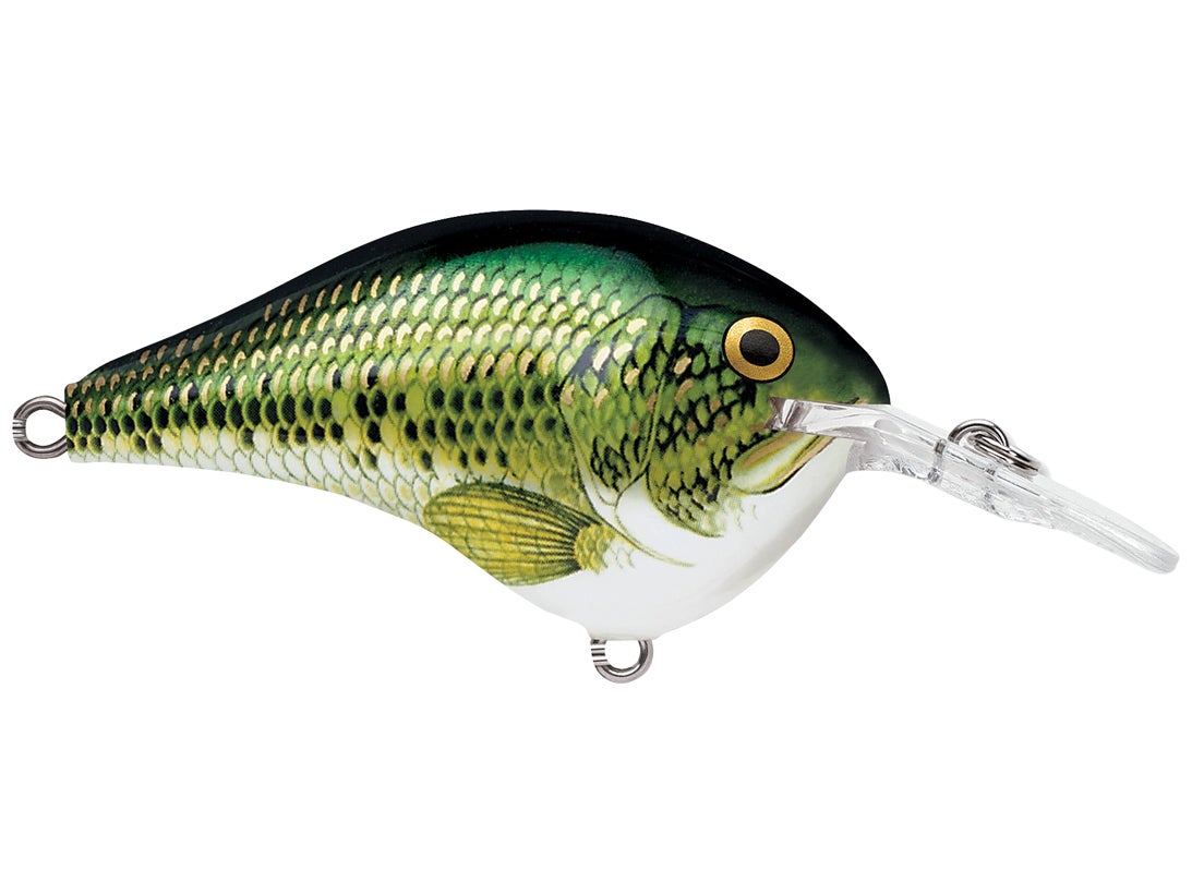Rapala DT6 Series Crankbaits - Tackle Warehouse