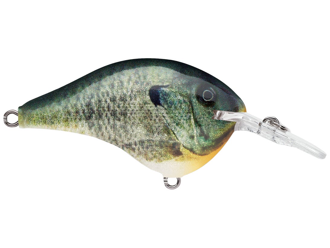 Rapala DT6 Series Crankbaits - Tackle Warehouse