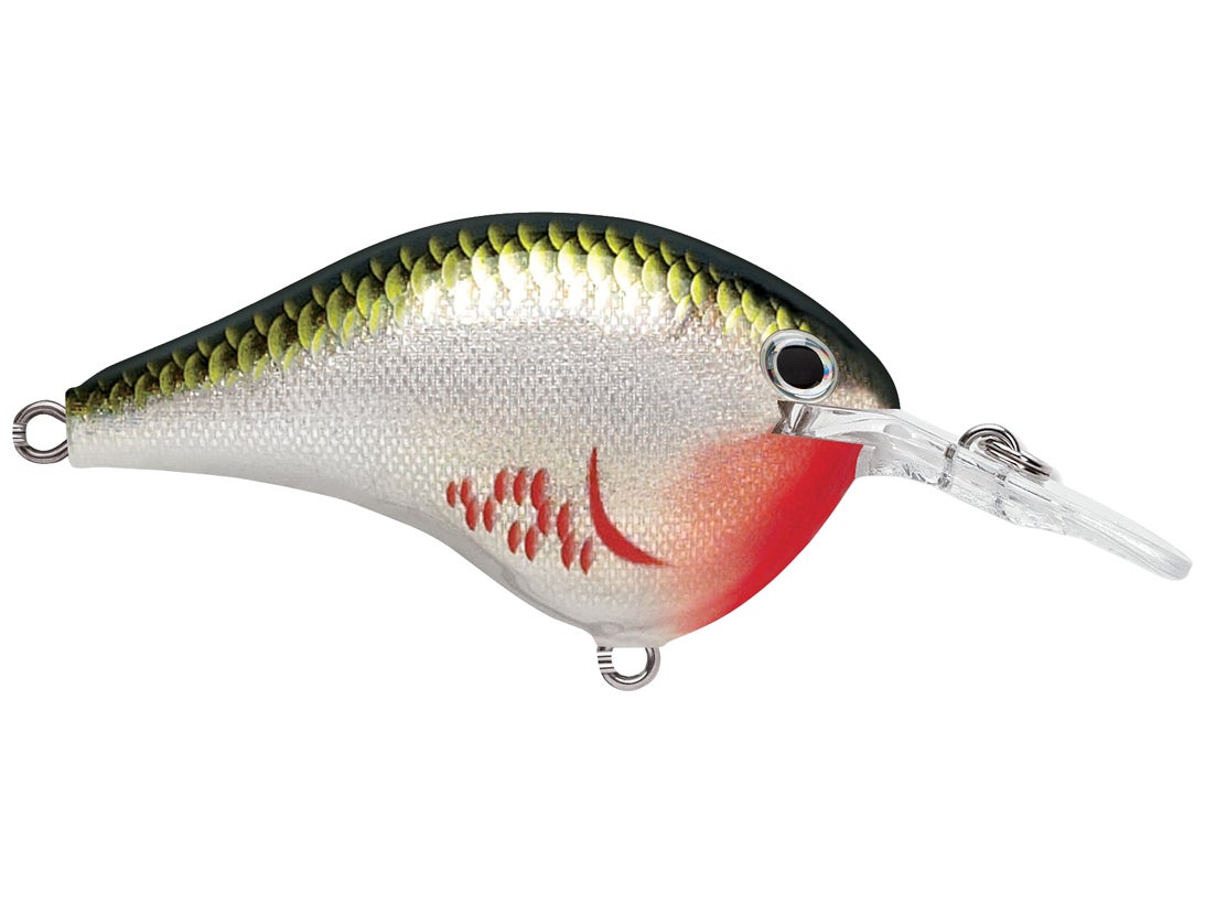 Rapala DT6 Series Crankbaits - Tackle Warehouse
