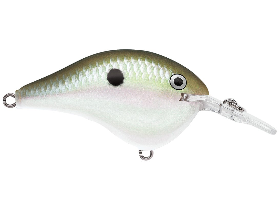 Rapala DT6 Series Crankbaits - Tackle Warehouse