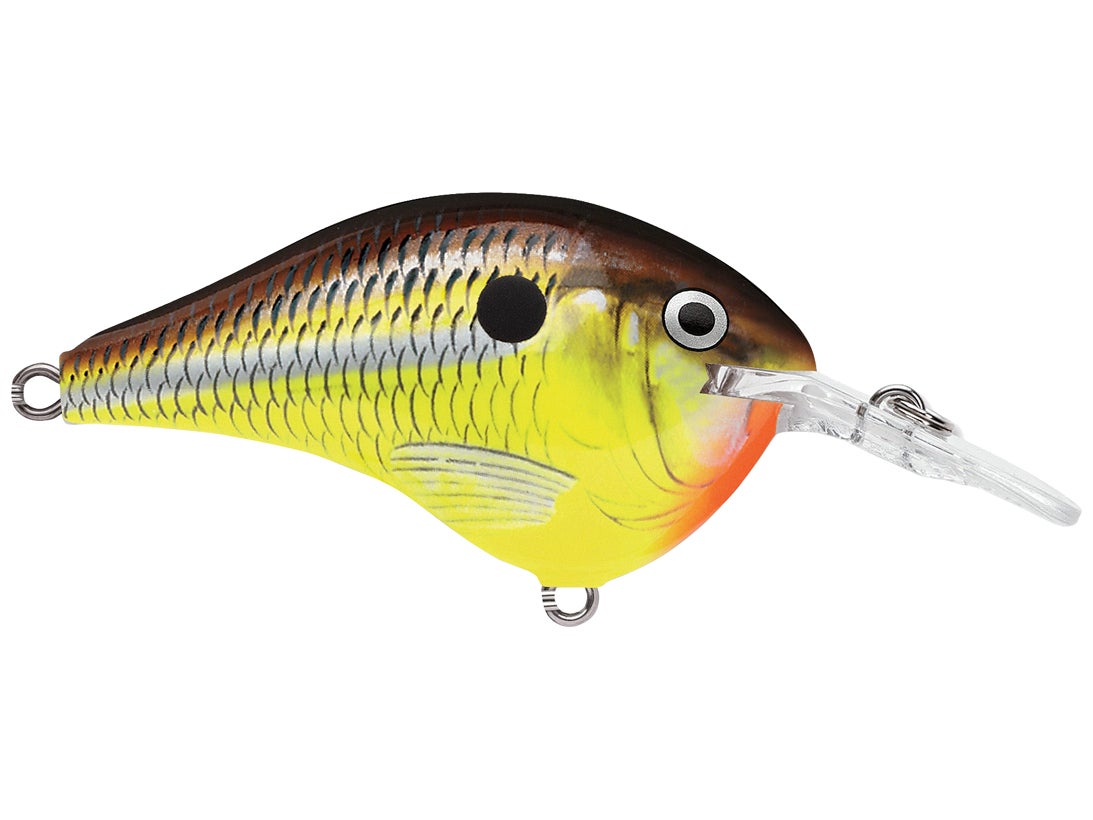 Rapala DT6 Series Crankbaits - Tackle Warehouse