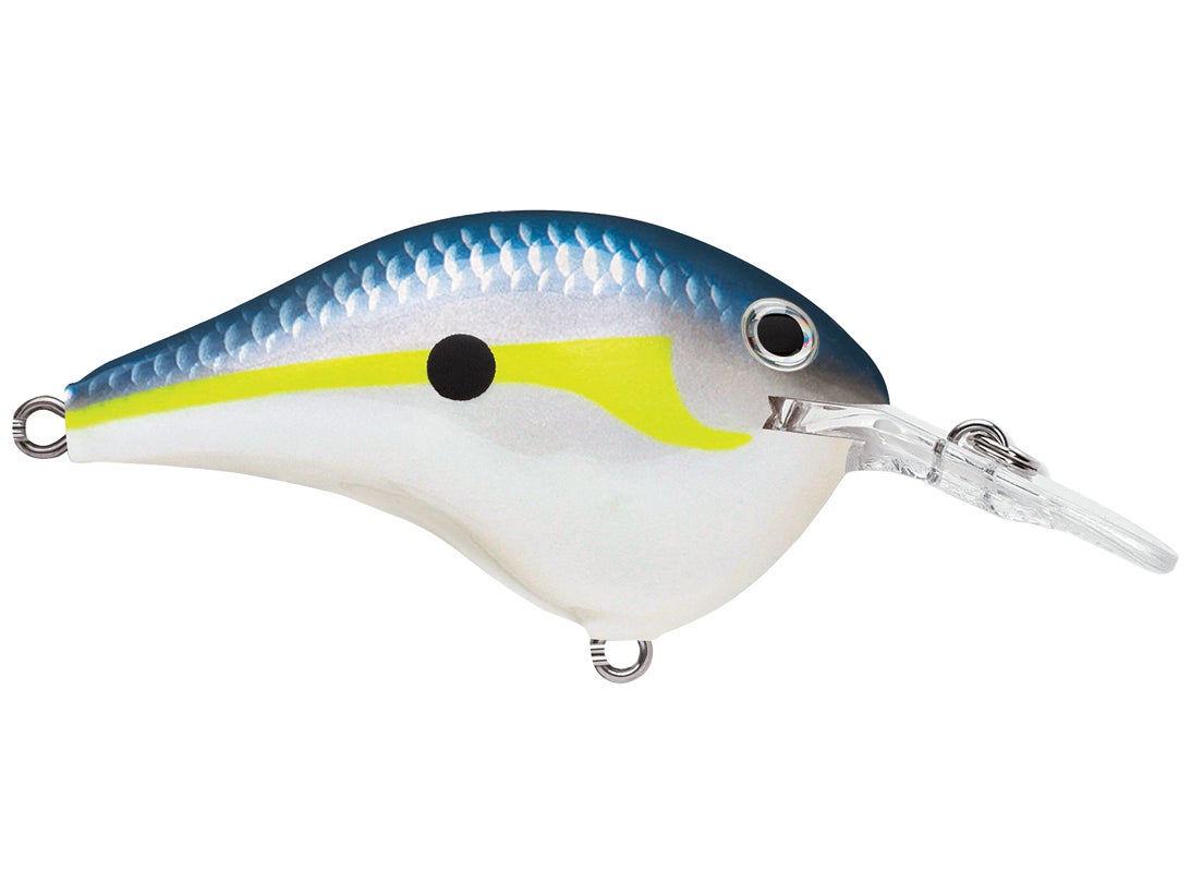 Rapala DT6 Series Crankbaits - Tackle Warehouse