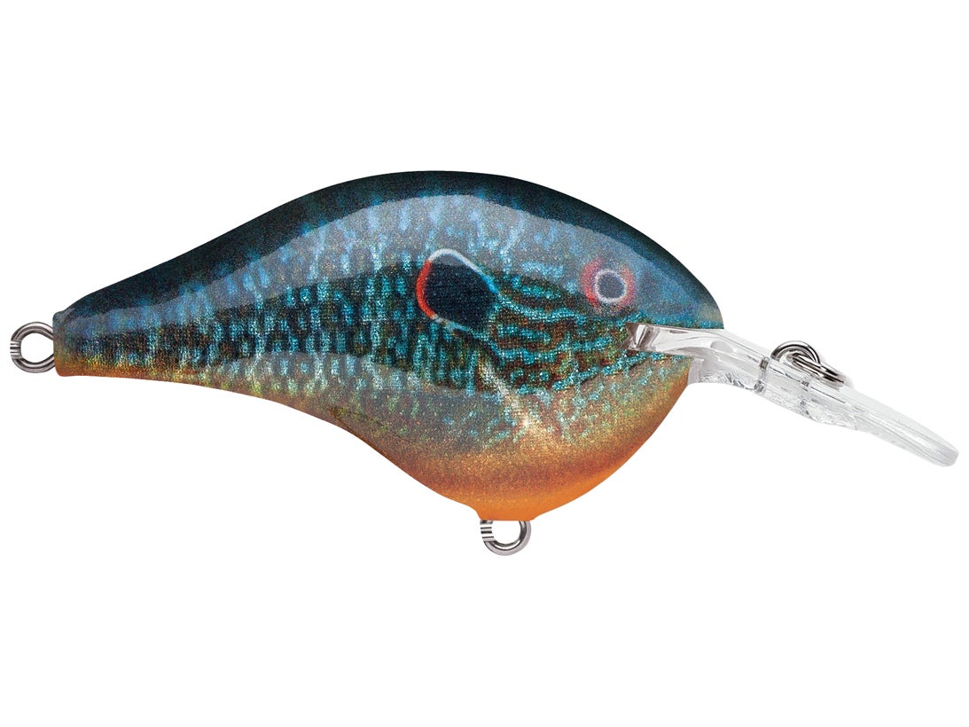 Rapala DT6 Series Crankbaits - Tackle Warehouse