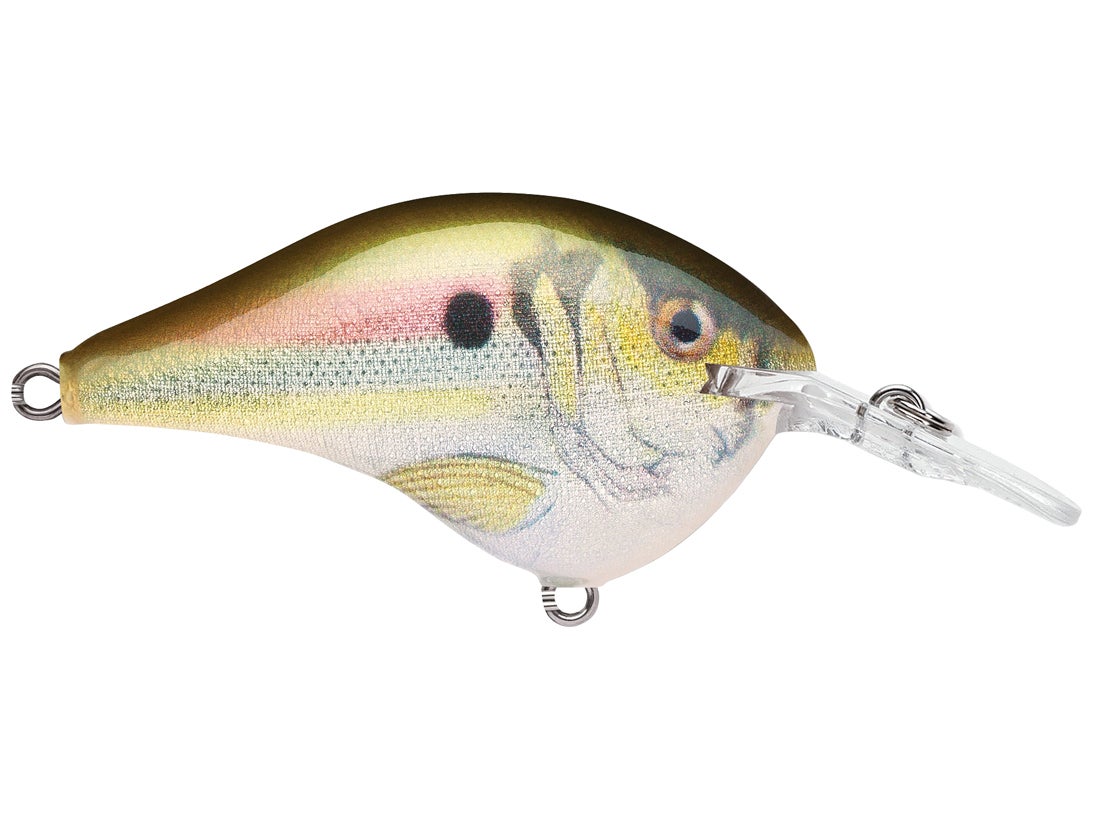 Rapala DT6 Series Crankbaits - Tackle Warehouse