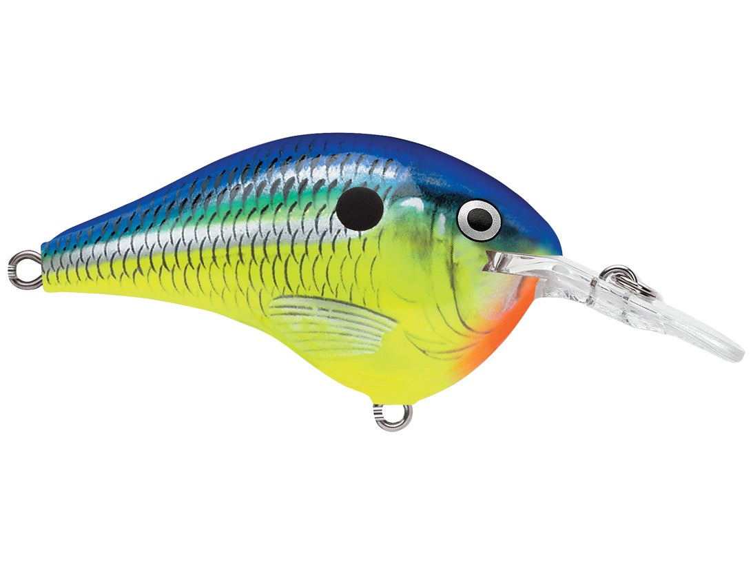 Rapala DT6 Series Crankbaits - Tackle Warehouse