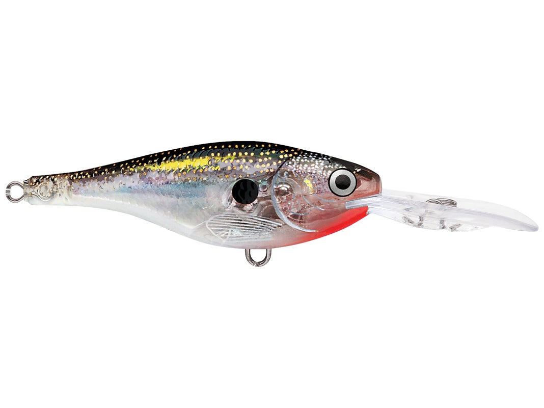 Rapala Glass Shad Rap 7 Crankbaits - Tackle Warehouse