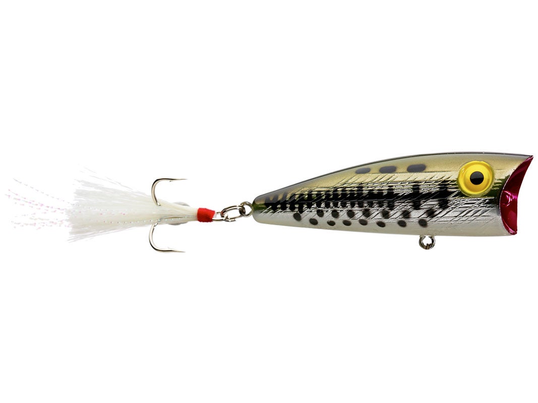 Rebel Pop-R Topwater Popper - Tackle Warehouse