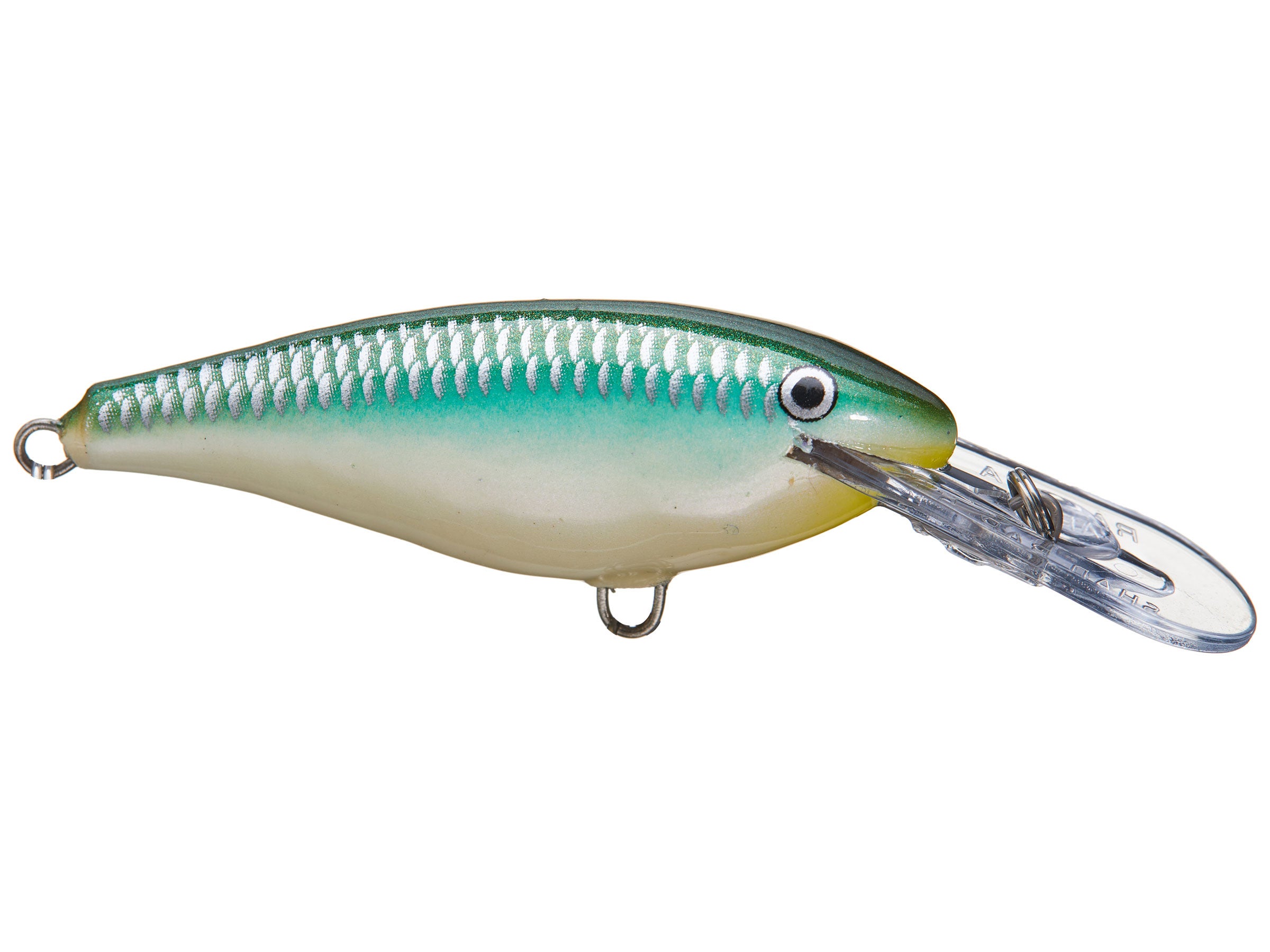 Rapala Shad Rap 5 Crankbaits - Tackle Warehouse