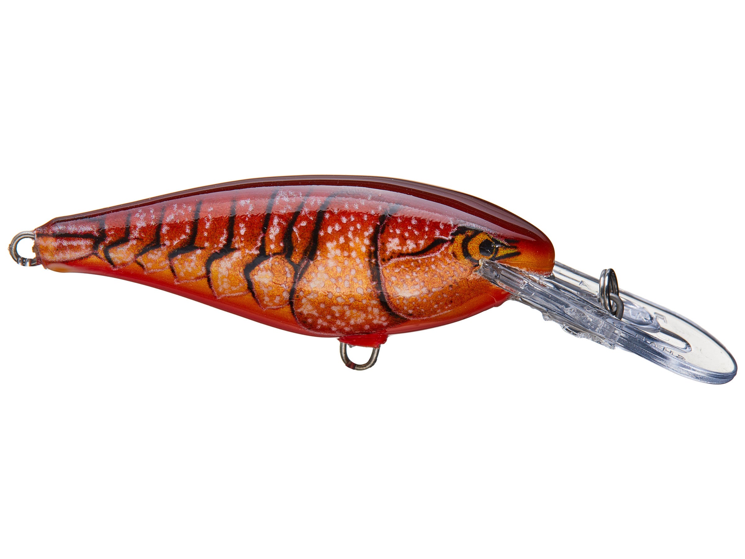 Rapala Shad Rap 5 Crankbaits - Tackle Warehouse