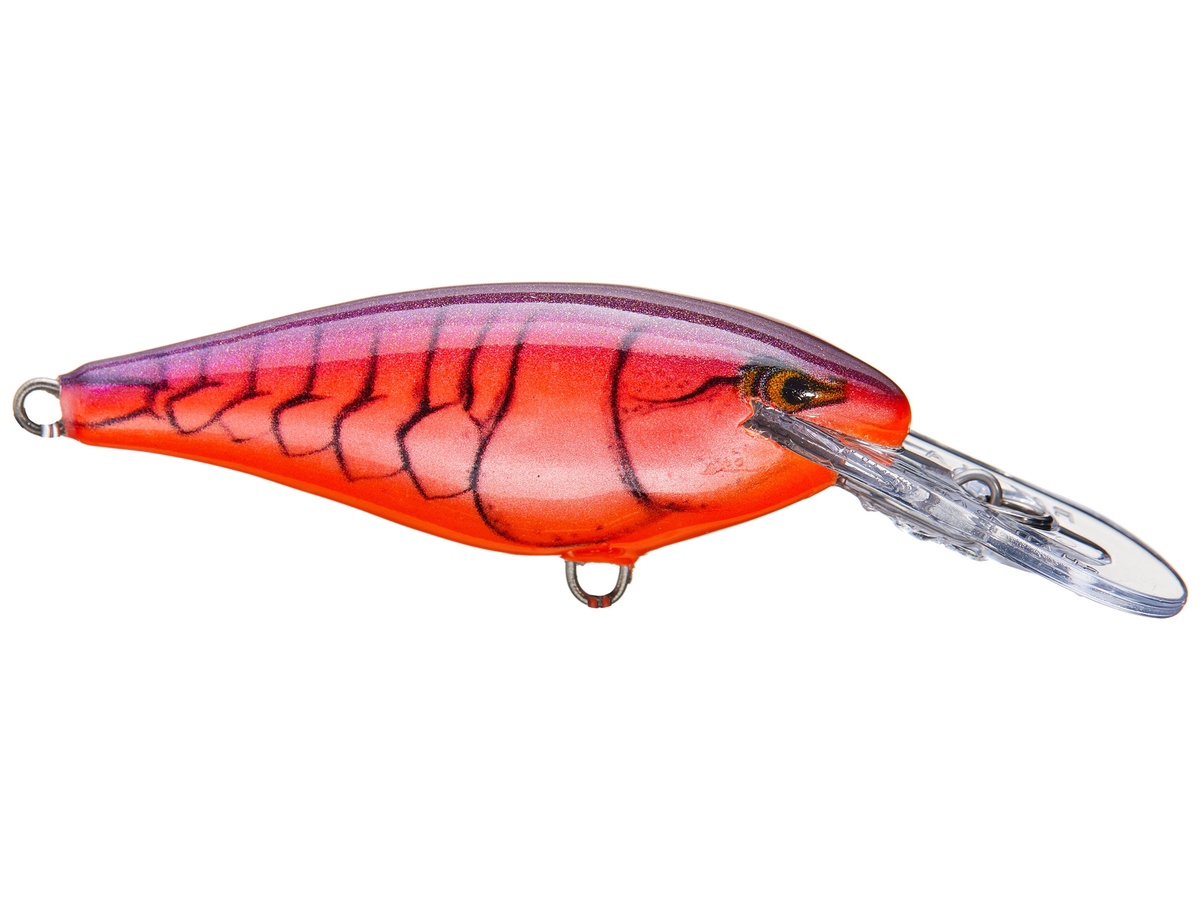 Rapala Shad Rap 5 Crankbaits - Tackle Warehouse