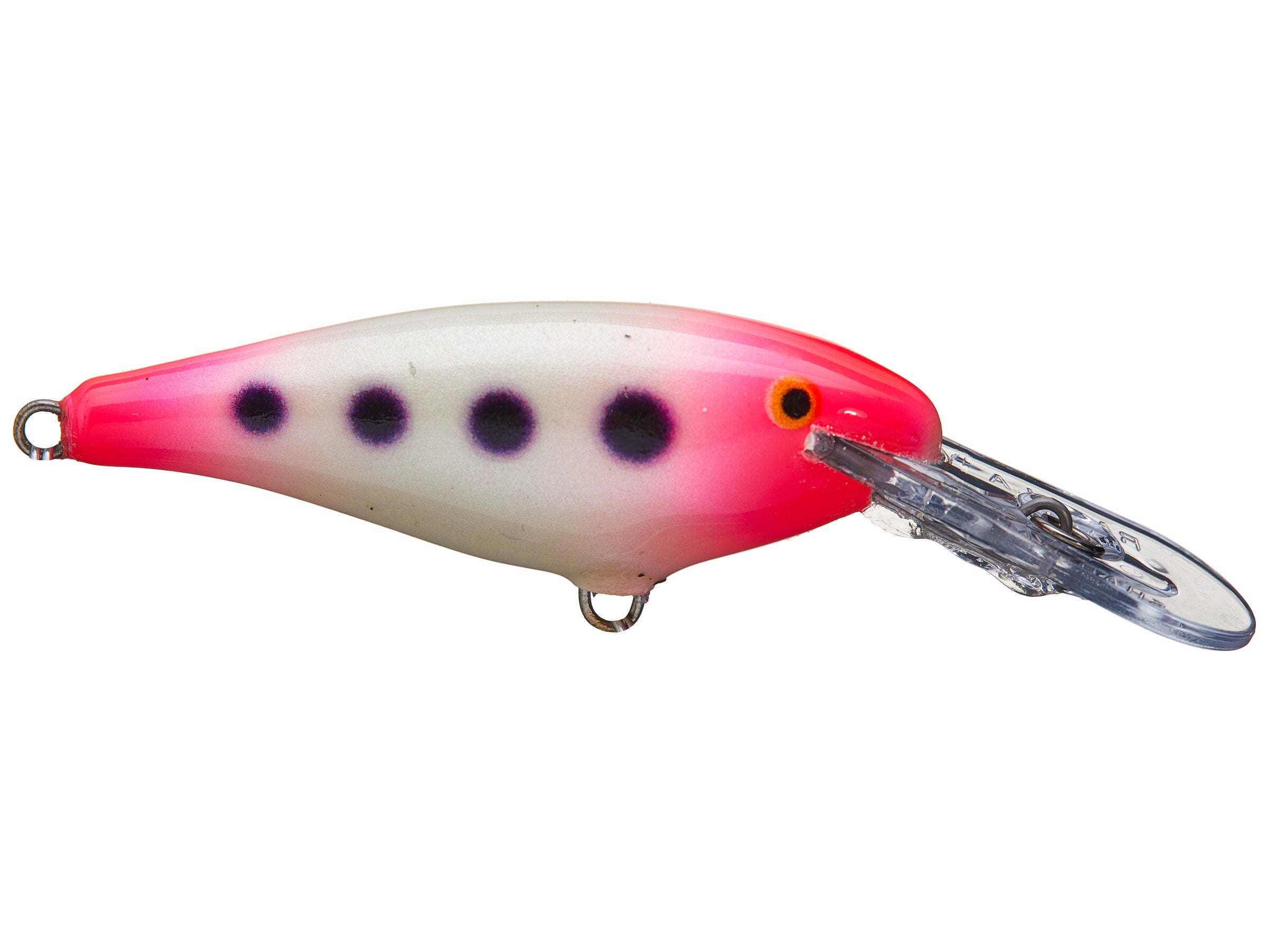 Rapala Shad Rap 5 Crankbaits - Tackle Warehouse