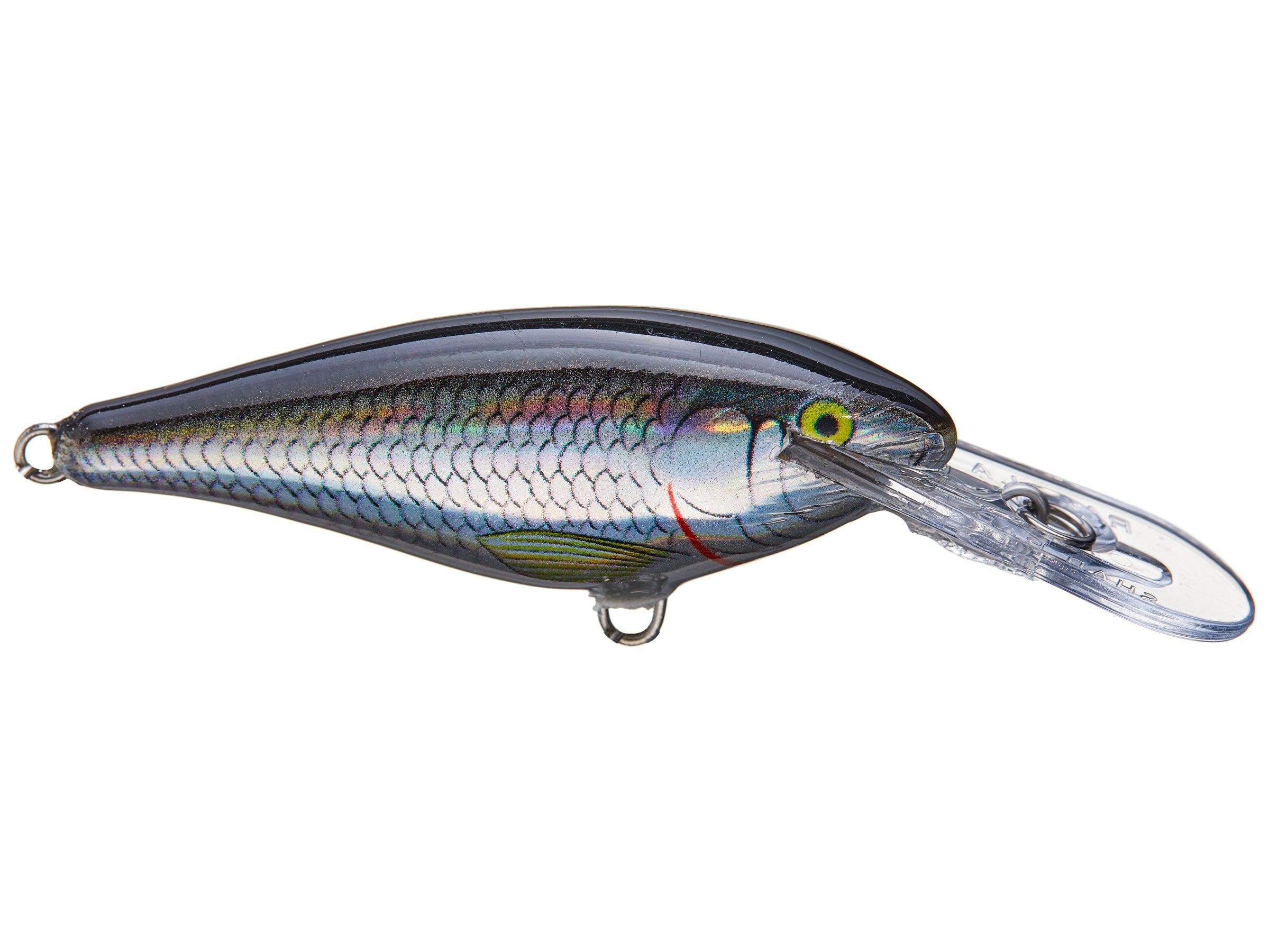 Rapala Shad Rap 5 Crankbaits - Tackle Warehouse
