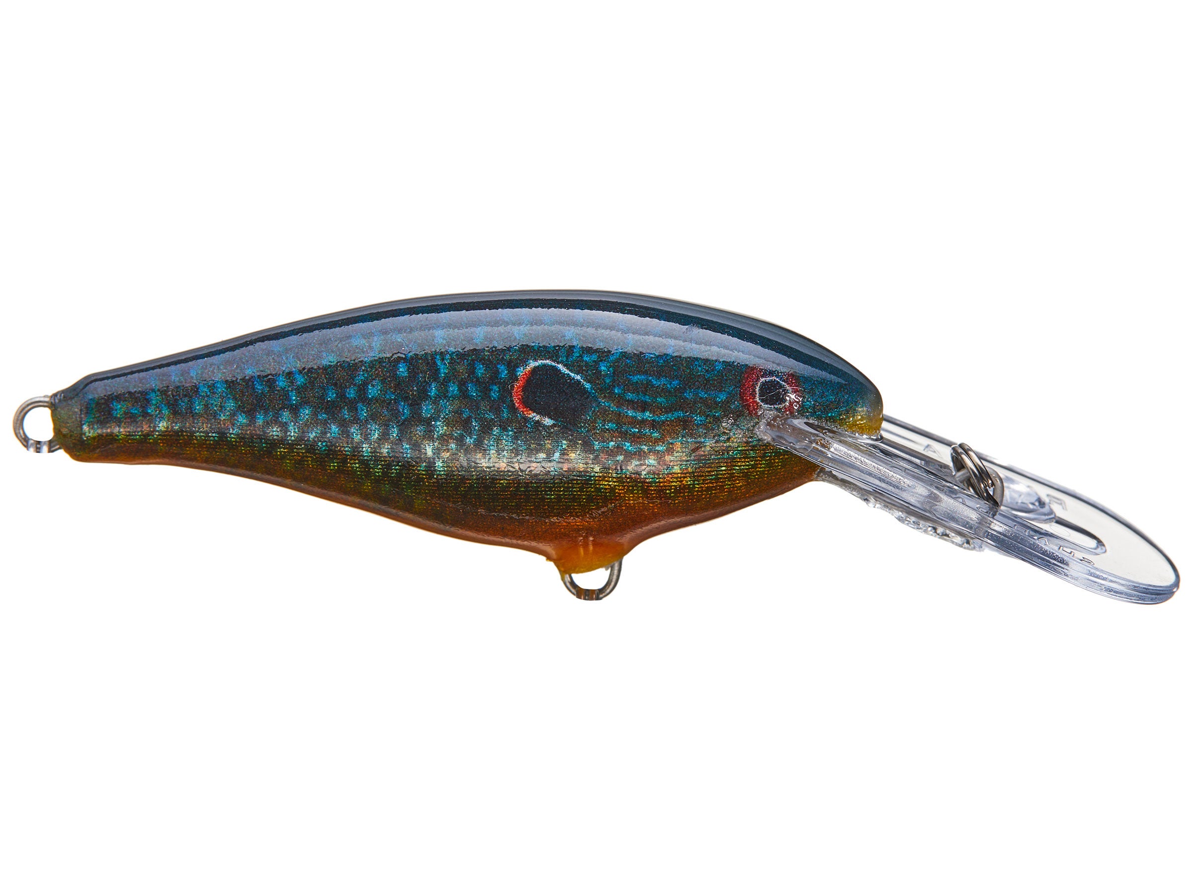 Rapala Shad Rap 5 Crankbaits - Tackle Warehouse