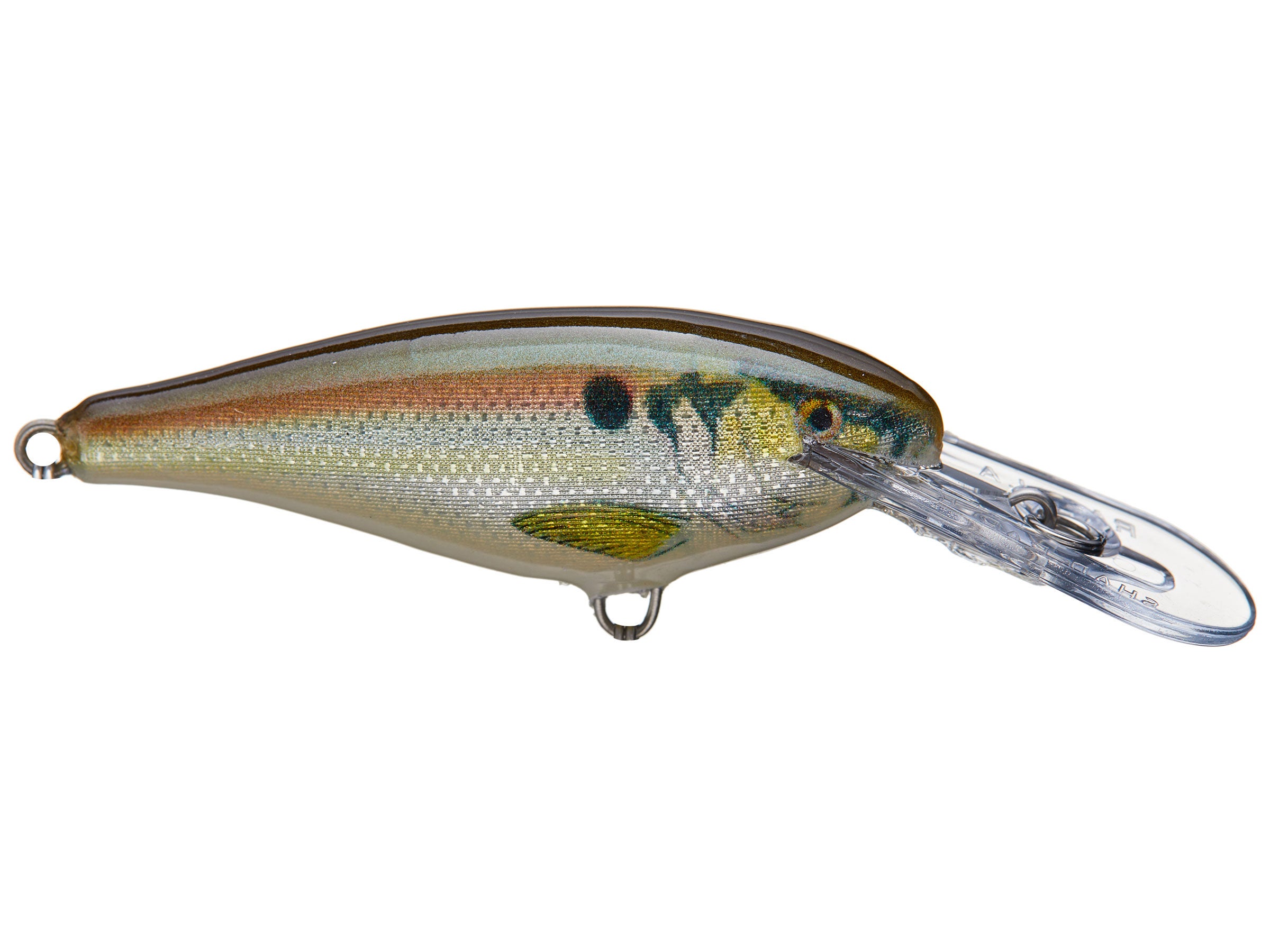Rapala Shad Rap 5 Crankbaits - Tackle Warehouse