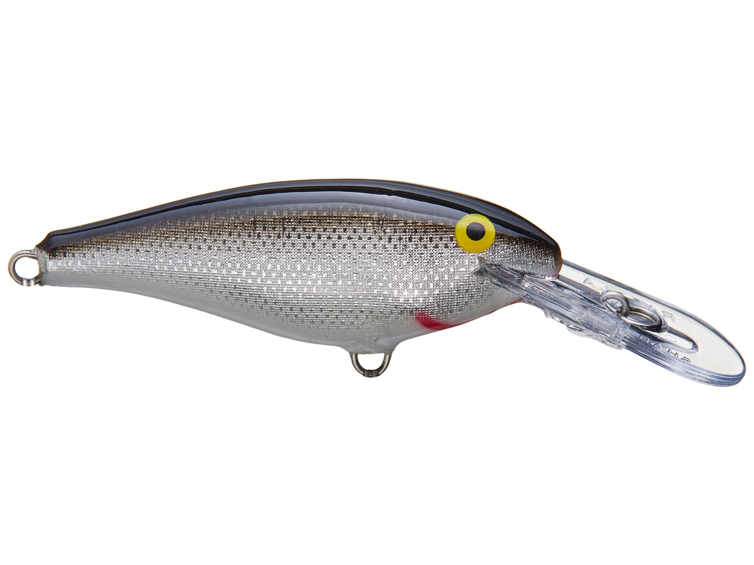 Rapala Shad Rap 5 Crankbaits - Tackle Warehouse