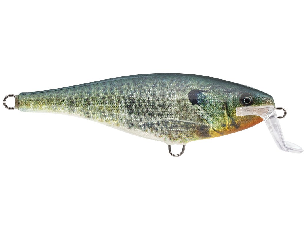 Rapala Super Shad Rap Crankbaits - Tackle Warehouse
