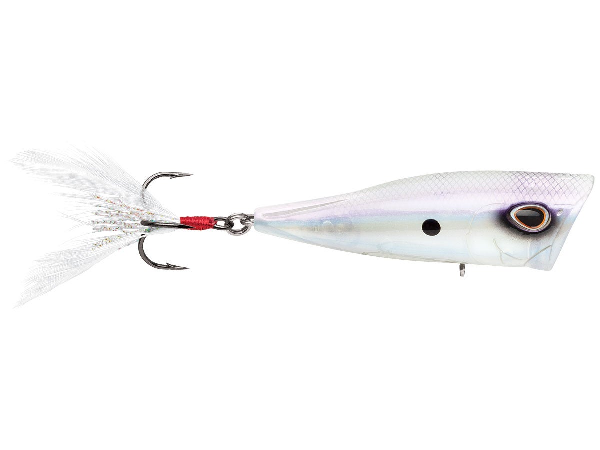 Storm Arashi Cover Pop - Tackle Warehouse