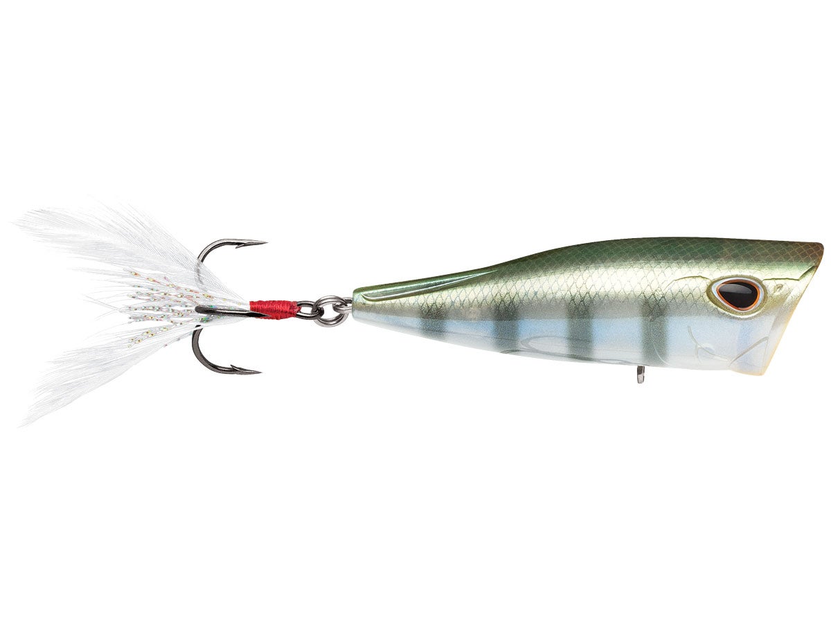 Storm Arashi Cover Pop - Tackle Warehouse