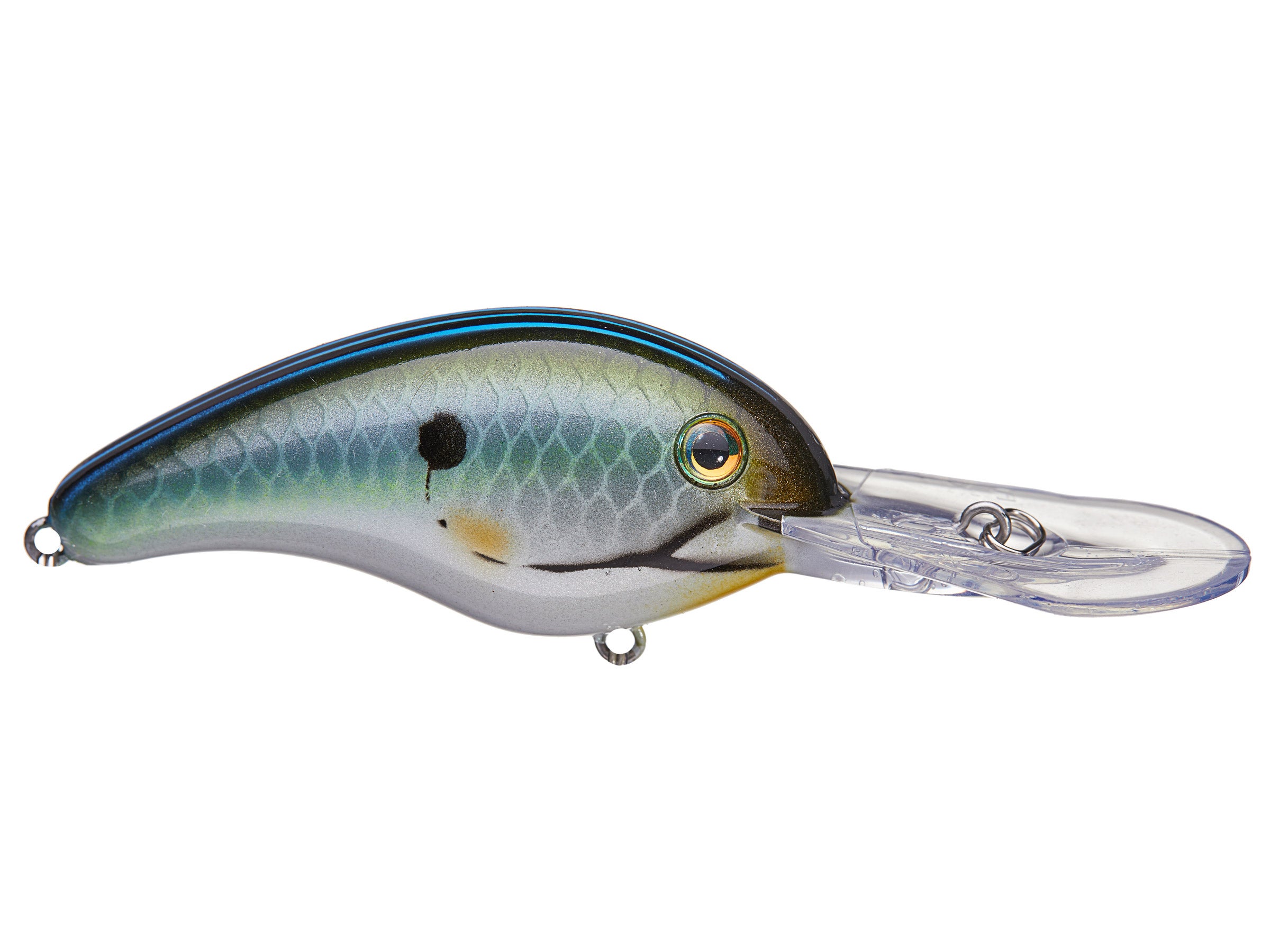 Strike King Pro Model 5XD Crankbaits - Tackle Warehouse