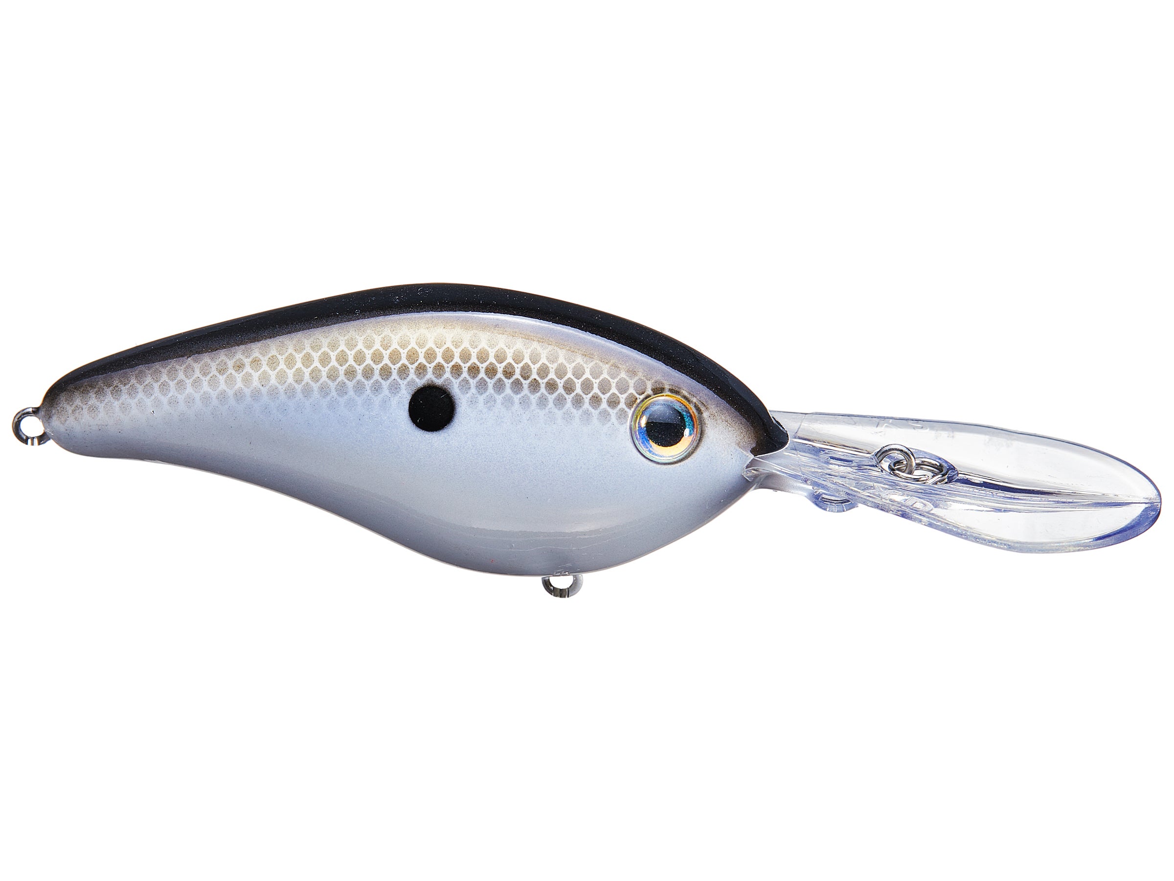 Strike King Pro Model 6XD Crankbaits - Tackle Warehouse