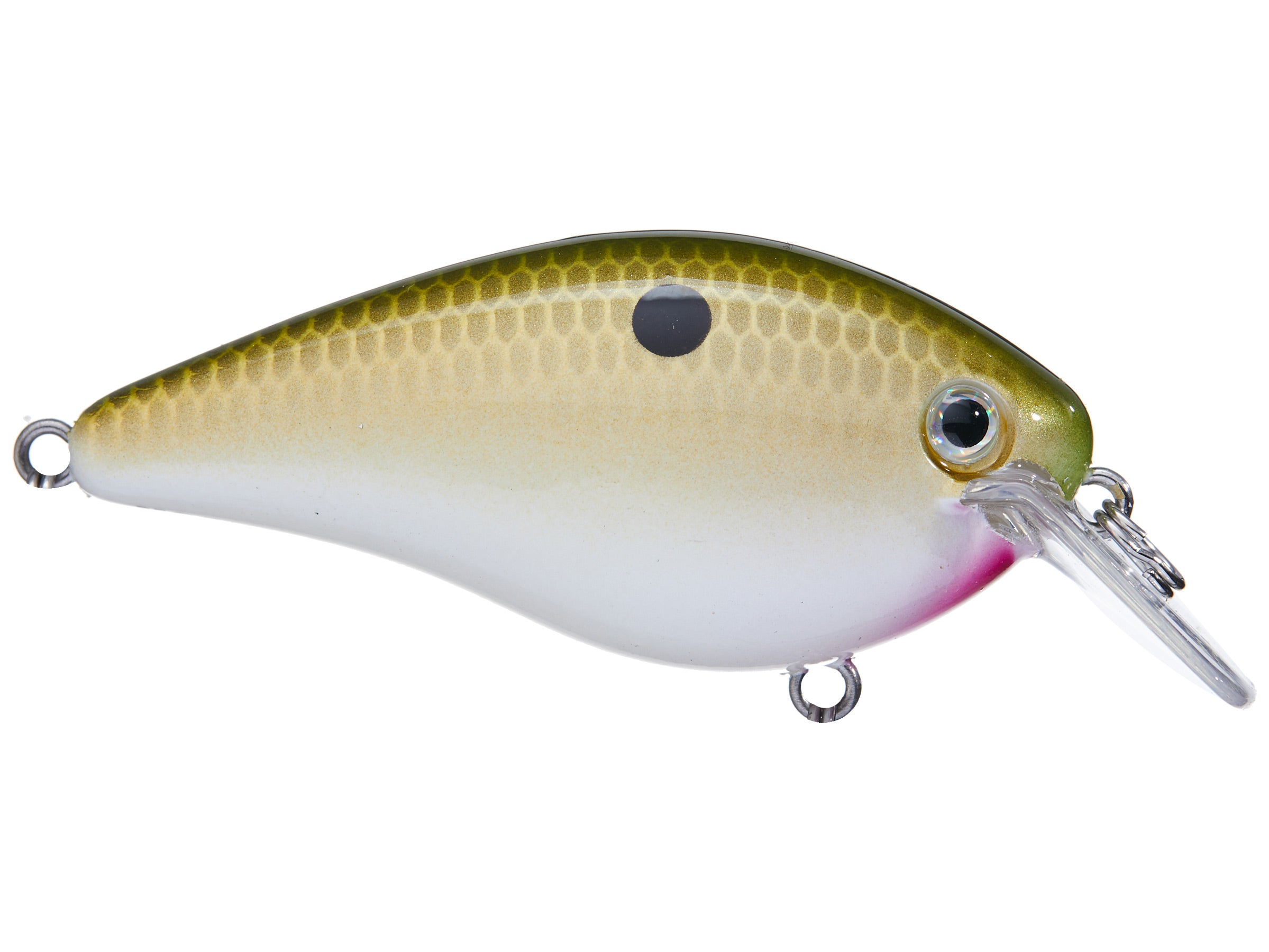 Strike King KVD 1.5 Hard Knock Squarebill Crankbait - Tackle Warehouse