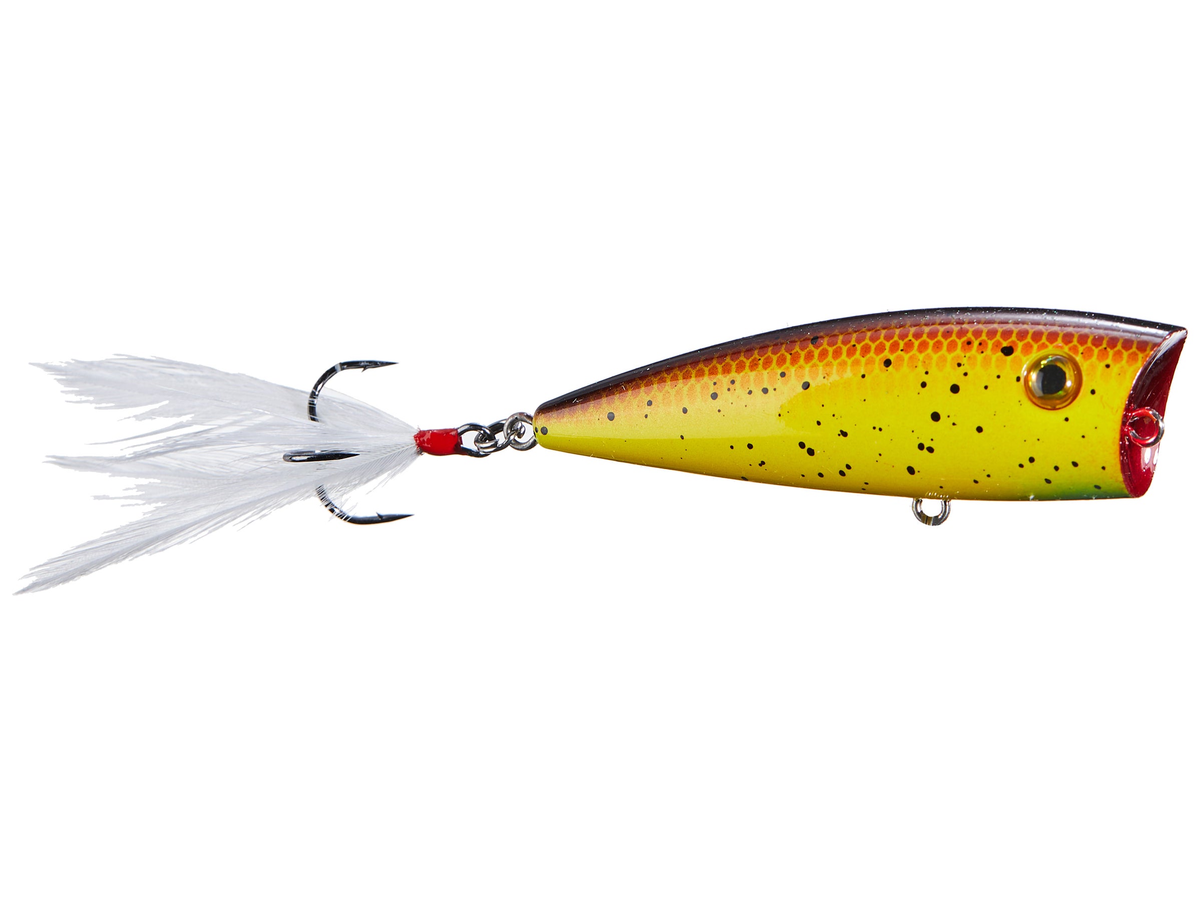 Strike King HC KVD Splash Popper - Tackle Warehouse