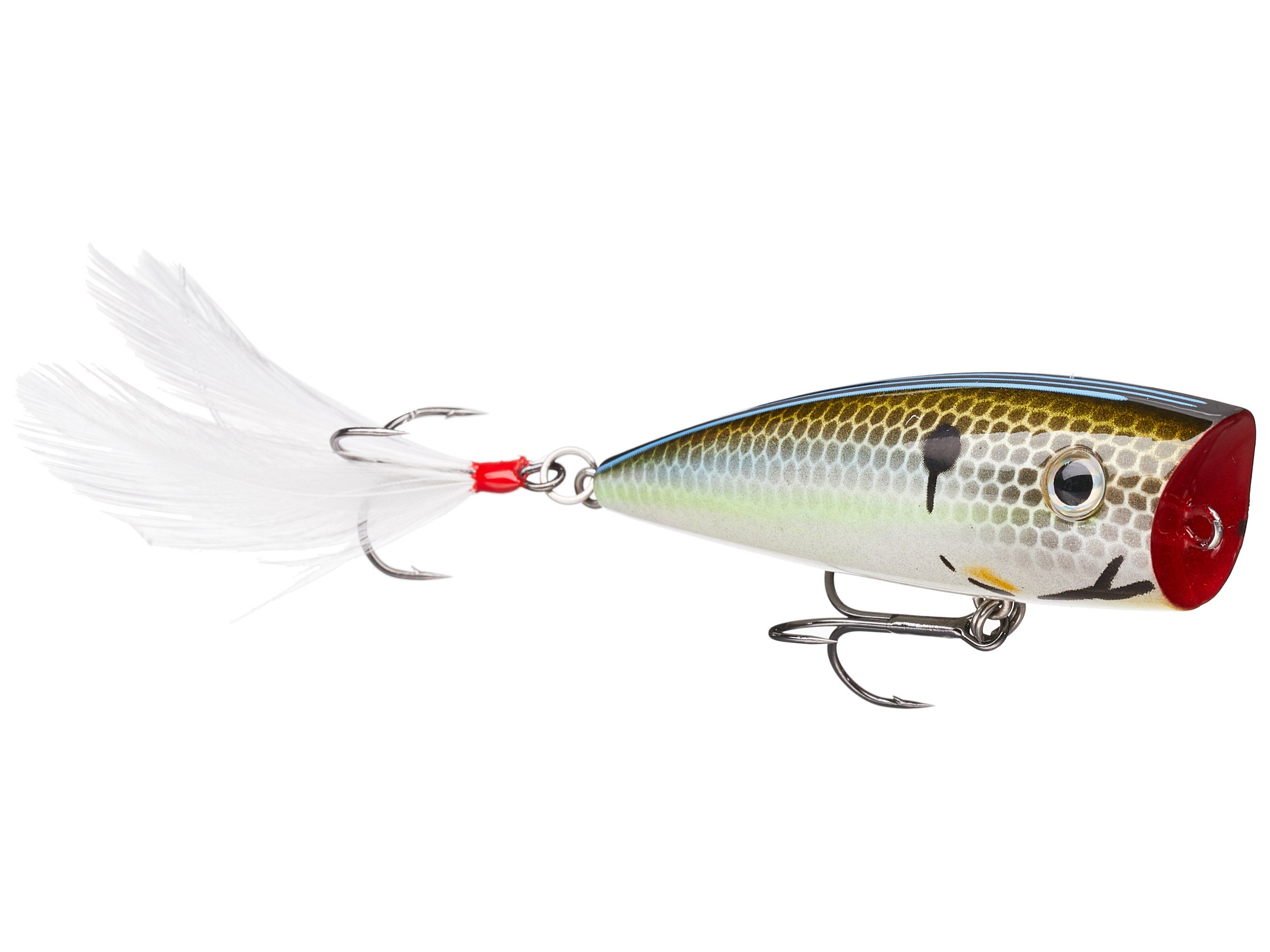 Strike King HC KVD Splash Popper - Tackle Warehouse