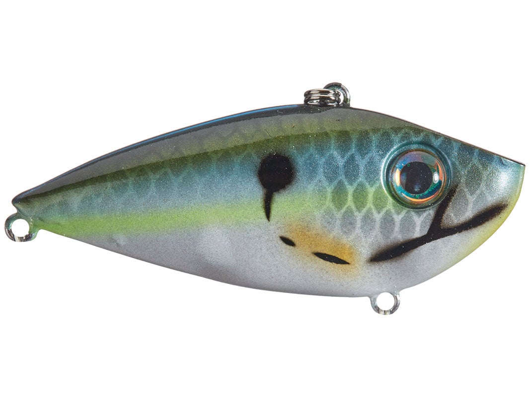 Strike King Red Eye Shad - Tackle Warehouse