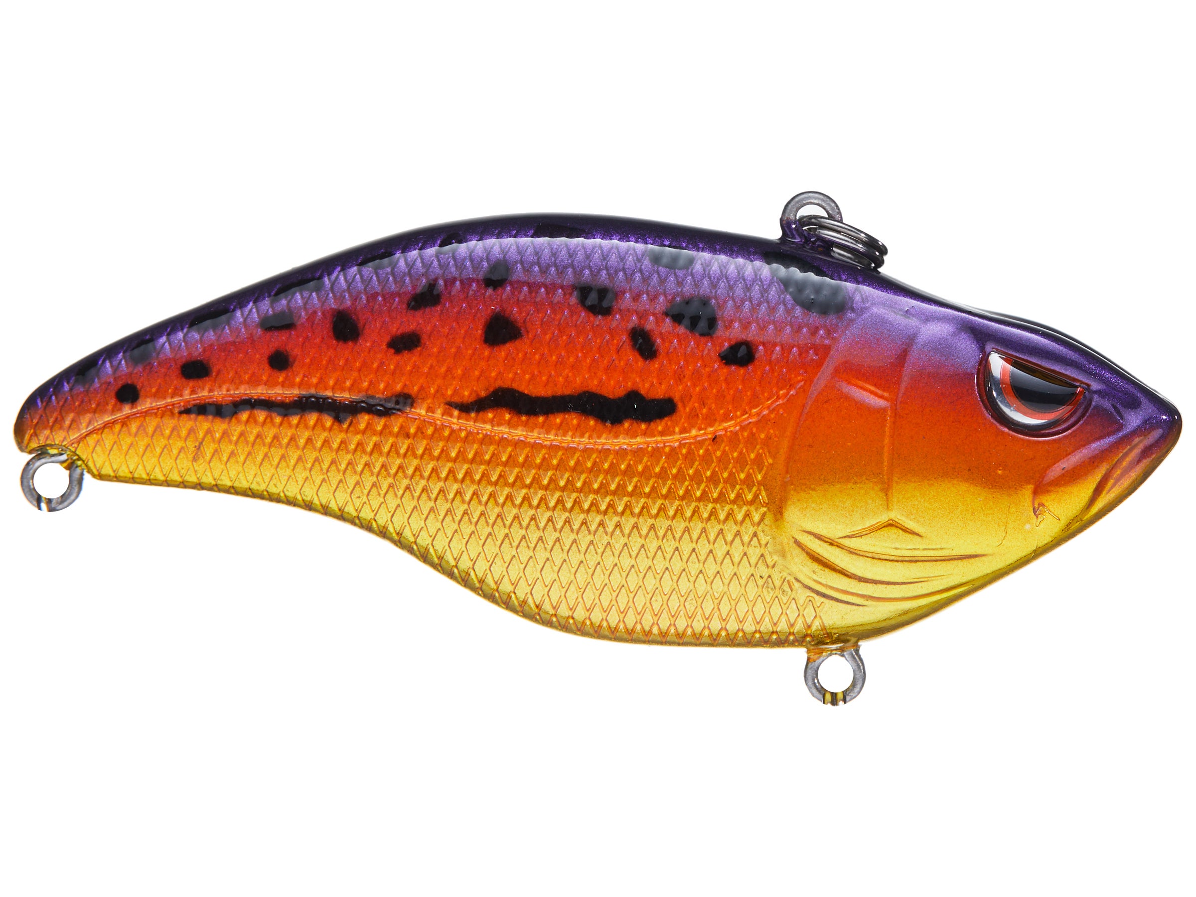 Spro Essential Series Aruku Shad Lipless Crankbait Tackle Warehouse