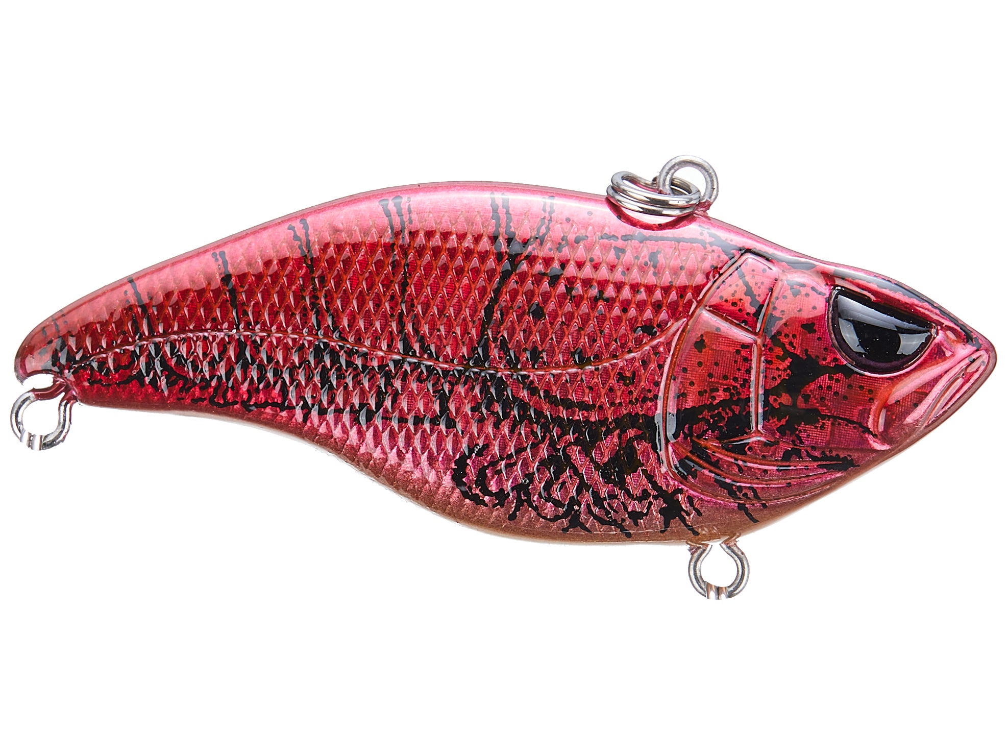 Spro Essential Series Aruku Shad Jr Lipless Crankbait Tackle Warehouse