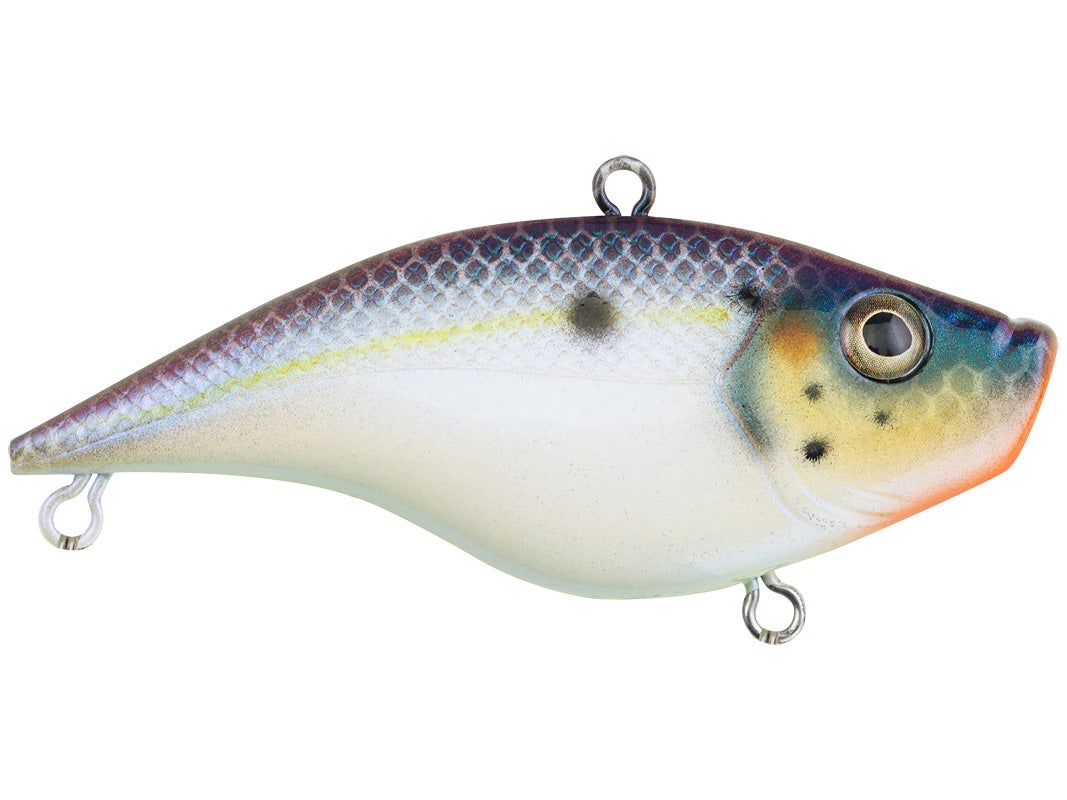 Berkley Warpig Lipless Crankbait - Tackle Warehouse