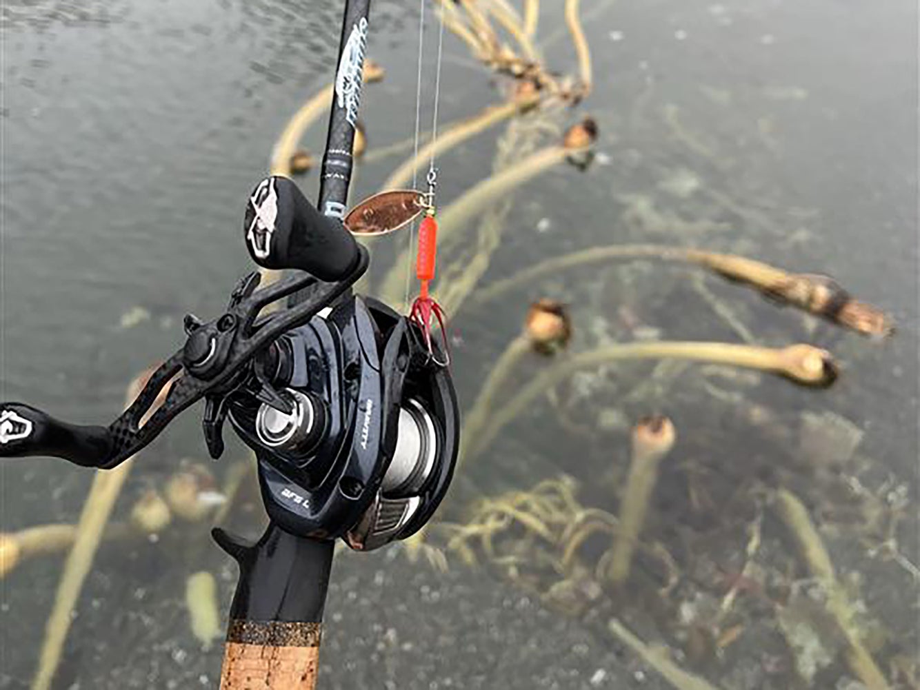 Ark Gravity BFS Reel Review