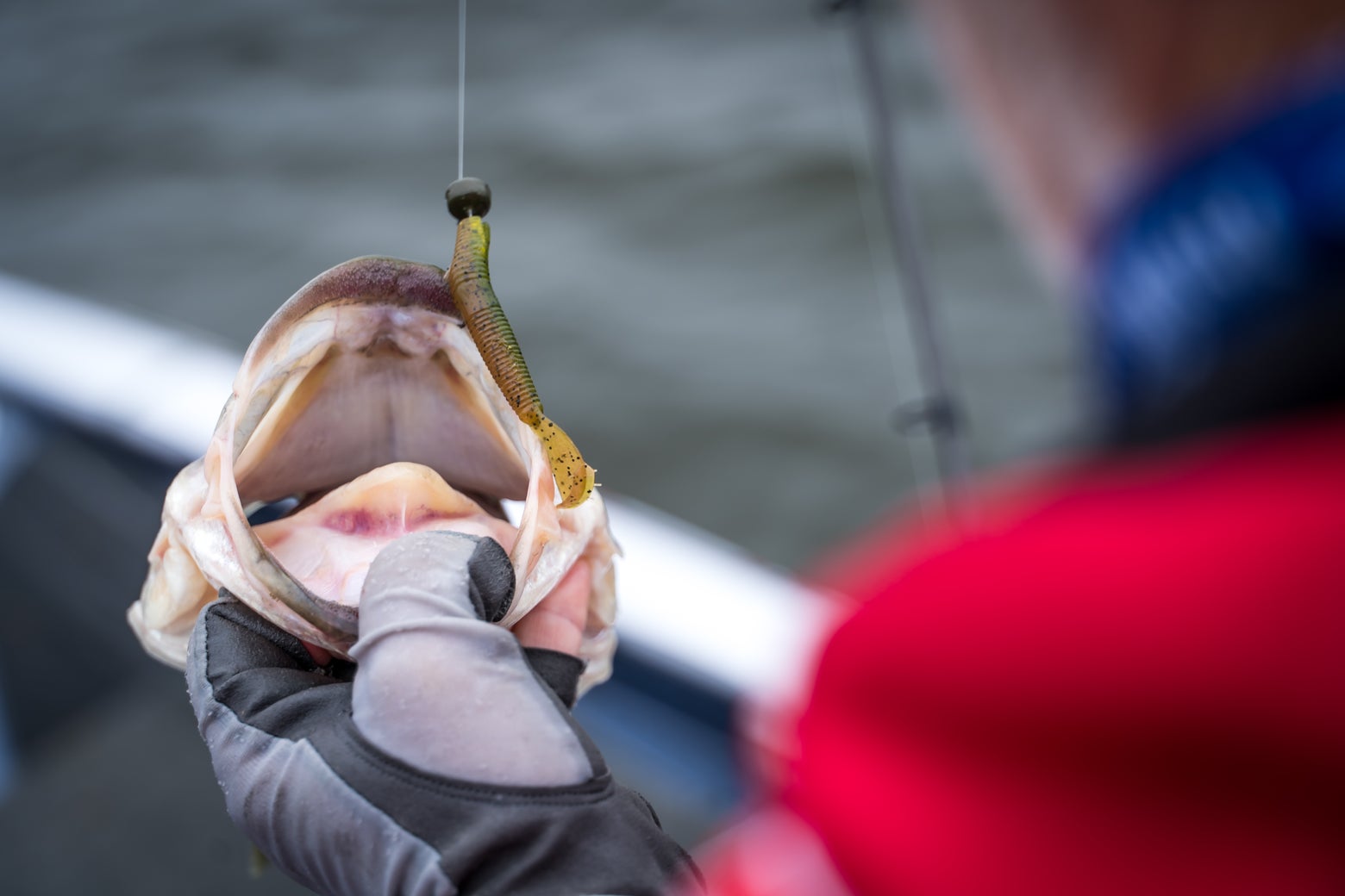 Ned Rigs Gear Guide | Tackle Warehouse