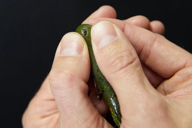 How-To Rig a Tube Stupid Style